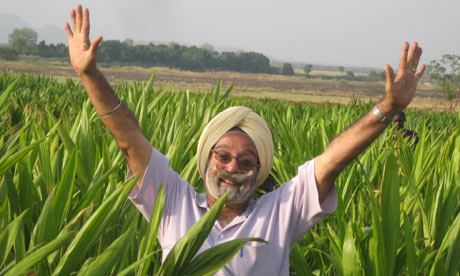 Karuturi Demands Compensation From Ethiopia for Failed Land Deal ...