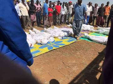 Ethiopia sending troops to region of deadly ethnic clashes – Solomon Negash